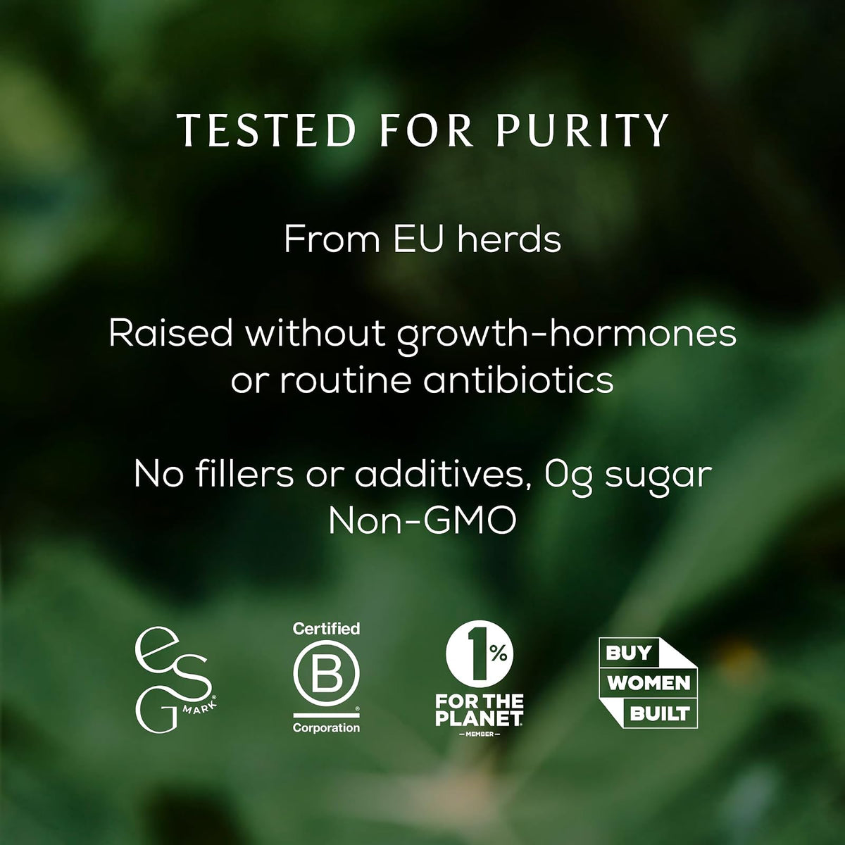 Premium collagen powder for daily use