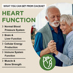 premium coq10 for active lifestyles