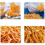 Premium Cordyceps Flower extract