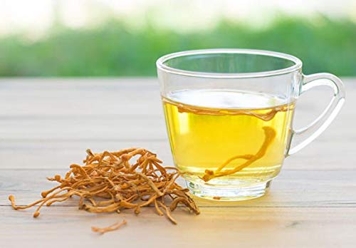 premium cordyceps for energy boost