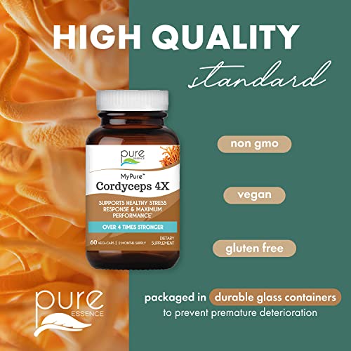Premium Cordyceps for mental clarity