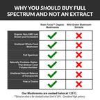 premium cordyceps for overall wellness