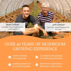 premium cordyceps for vitality