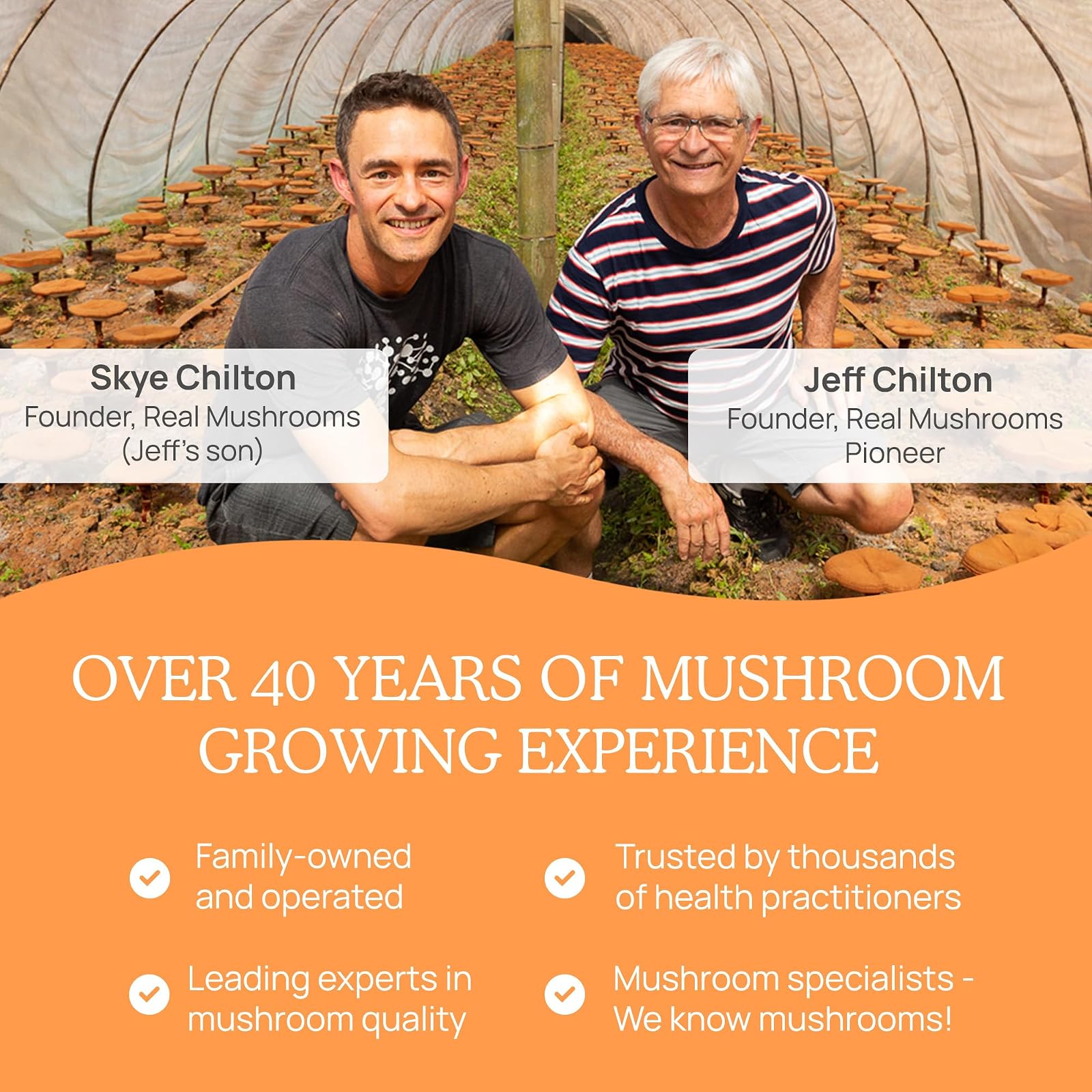 premium cordyceps for vitality