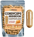 premium cordyceps mushroom capsules