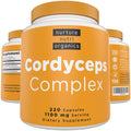 premium cordyceps mushroom supplement
