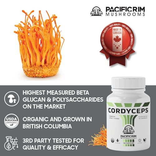 premium cordyceps mushrooms extract