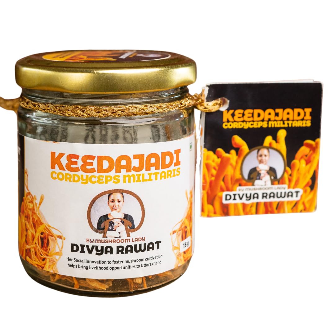 premium cordyceps mushrooms for wellness