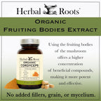 premium cordyceps mushrooms supplement