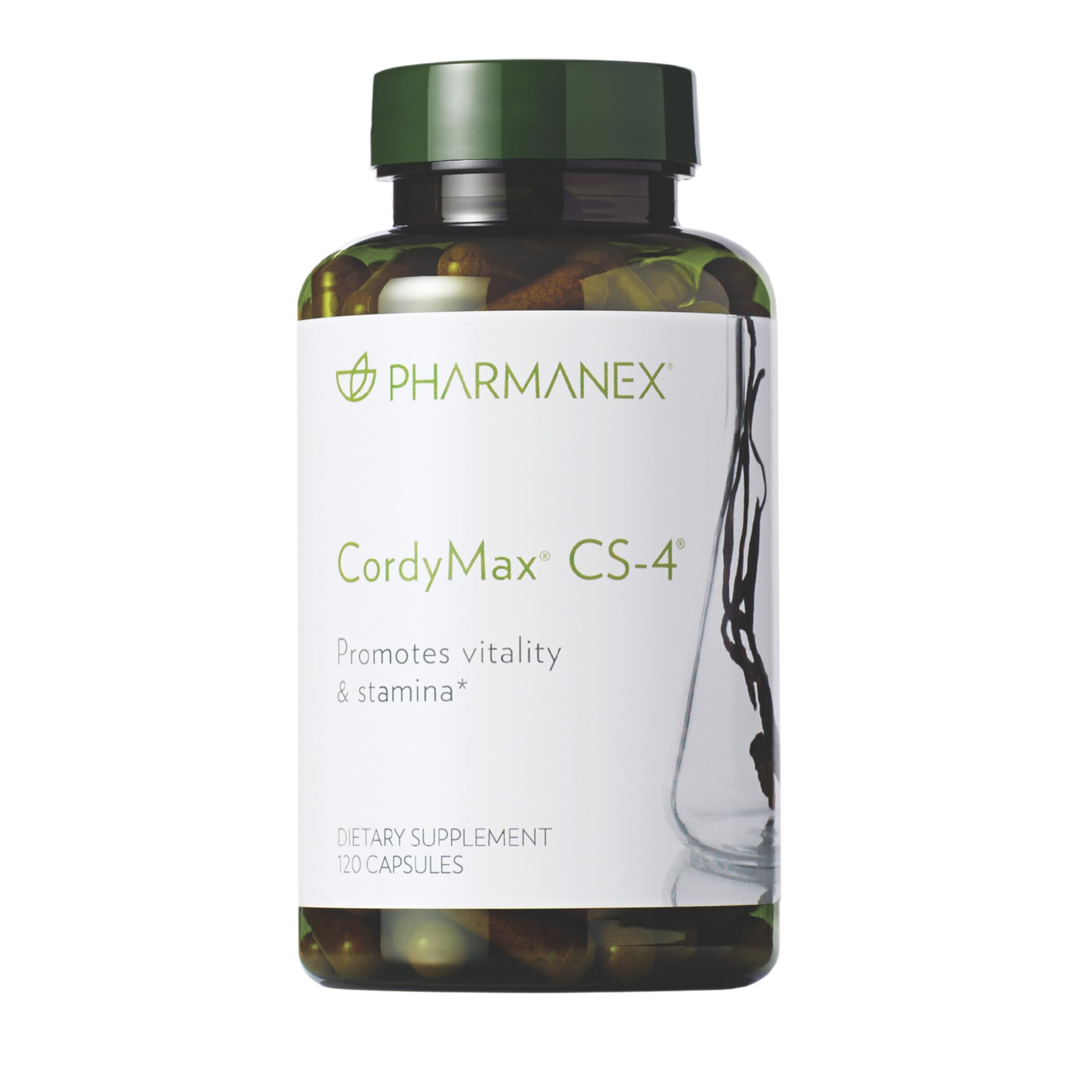 premium cordyceps mushrooms supplement