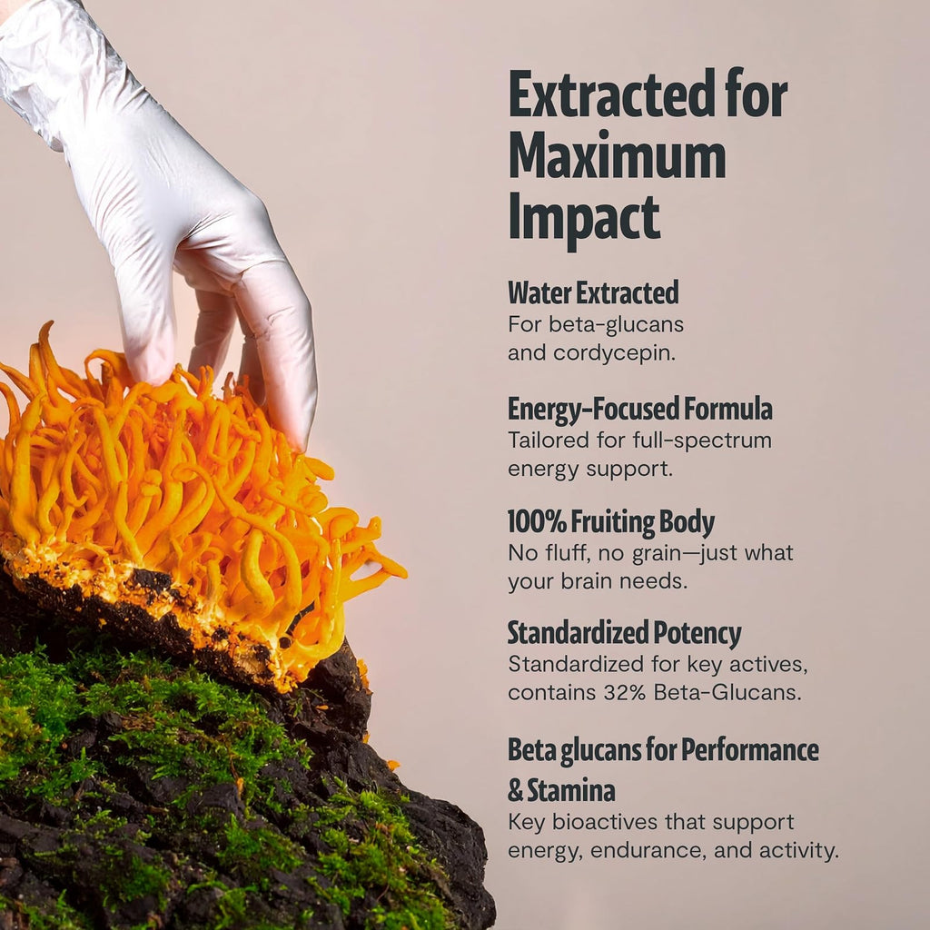 premium cordyceps powder for athletes