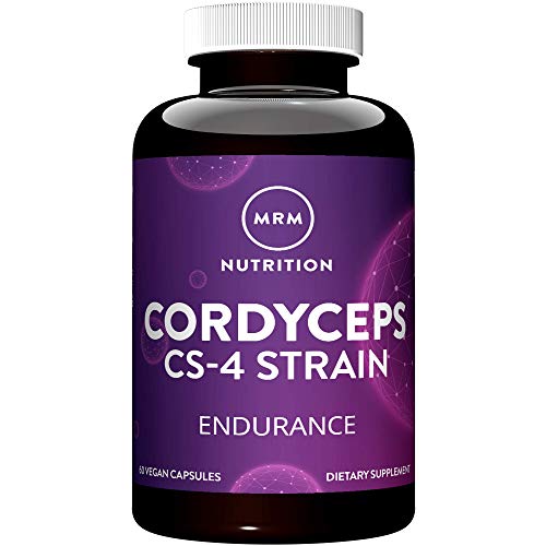 premium cordyceps supplement for energy