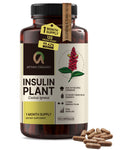 Premium Costus Igneus capsules for health