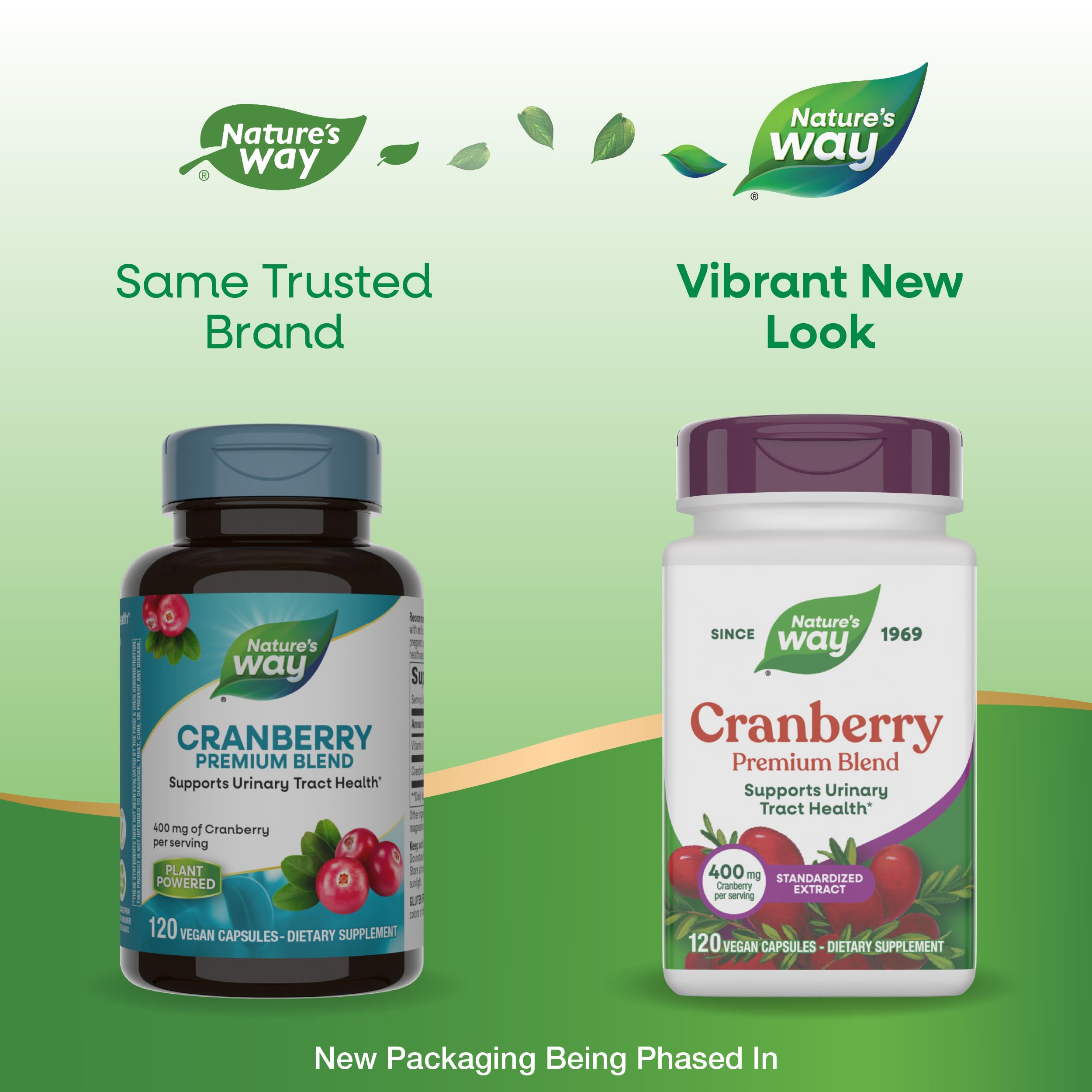 premium cranberry supplement for wellness