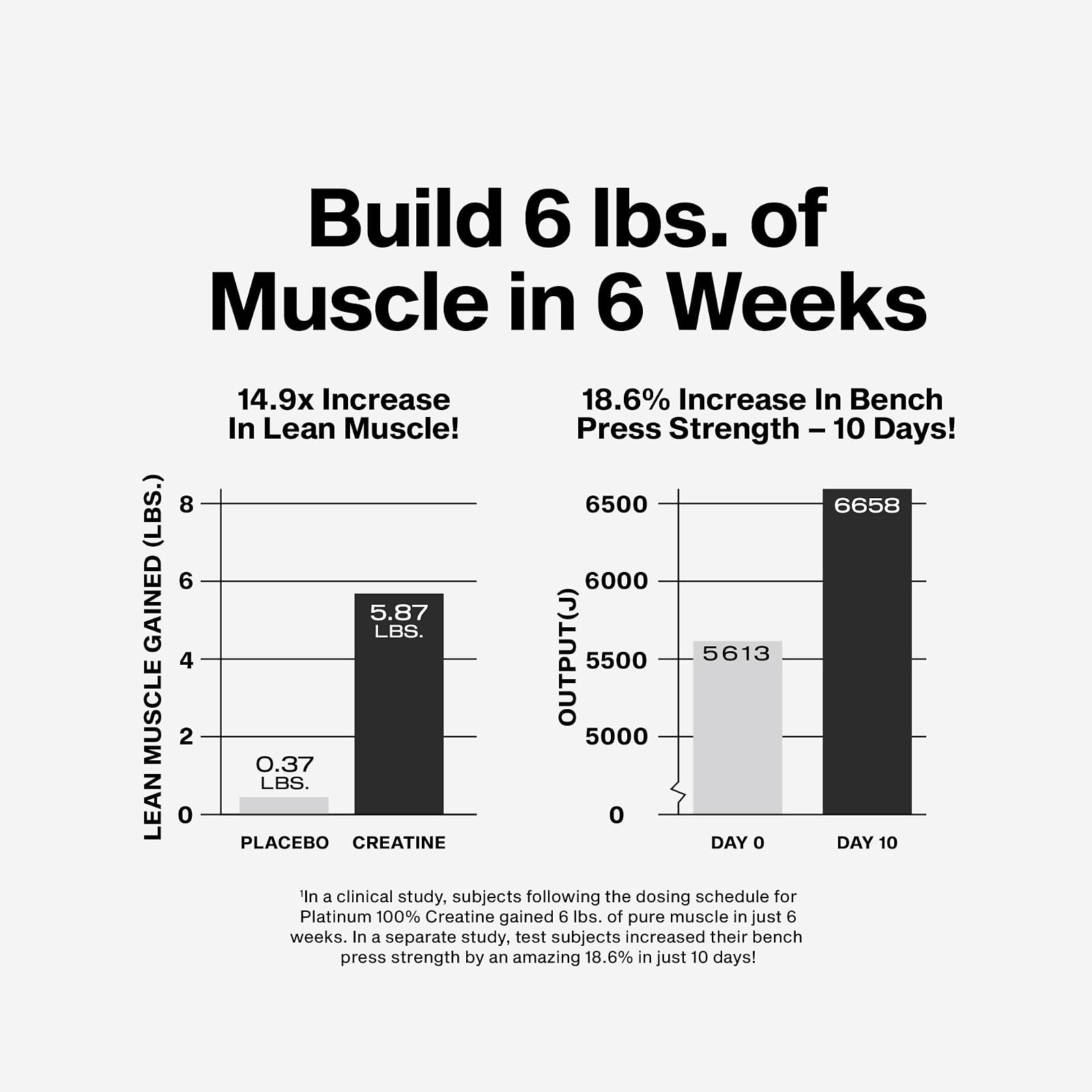 premium creatine for athletes and bodybuilders