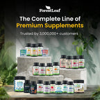 premium creatine for athletes and fitness