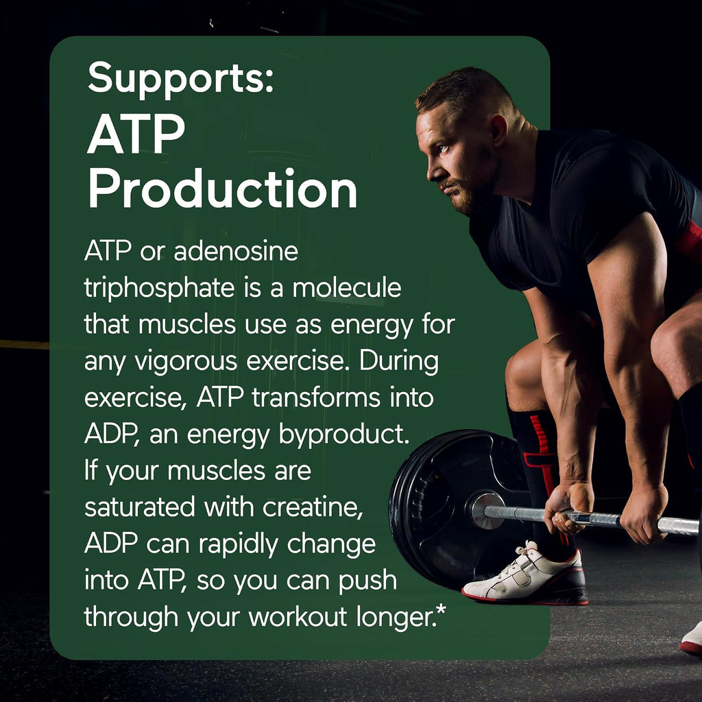 premium creatine for fitness enthusiasts