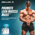 premium creatine monohydrate for athletes