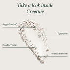 premium creatine monohydrate supplement