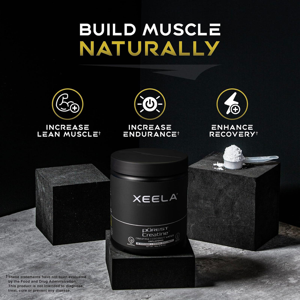 premium creatine powder for recovery