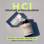 premium creatine supplement capsules