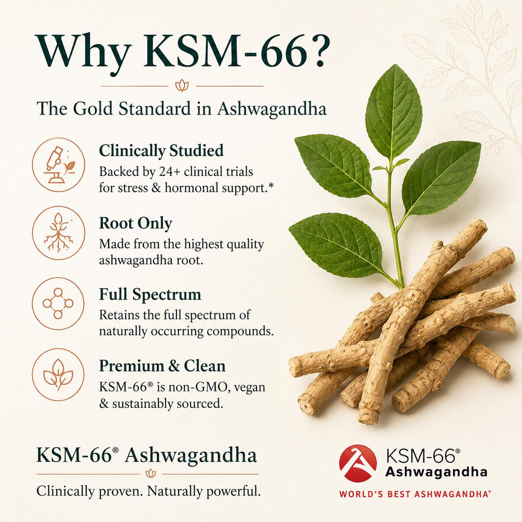 Premium creatine with KSM-66 benefits