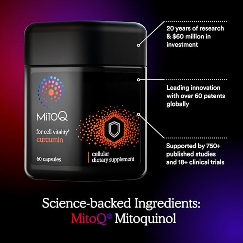 premium curcumin for daily wellness