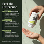 premium curcumin for immune boost