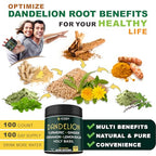 premium dandelion root extract formula