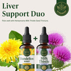 premium dandelion root extract