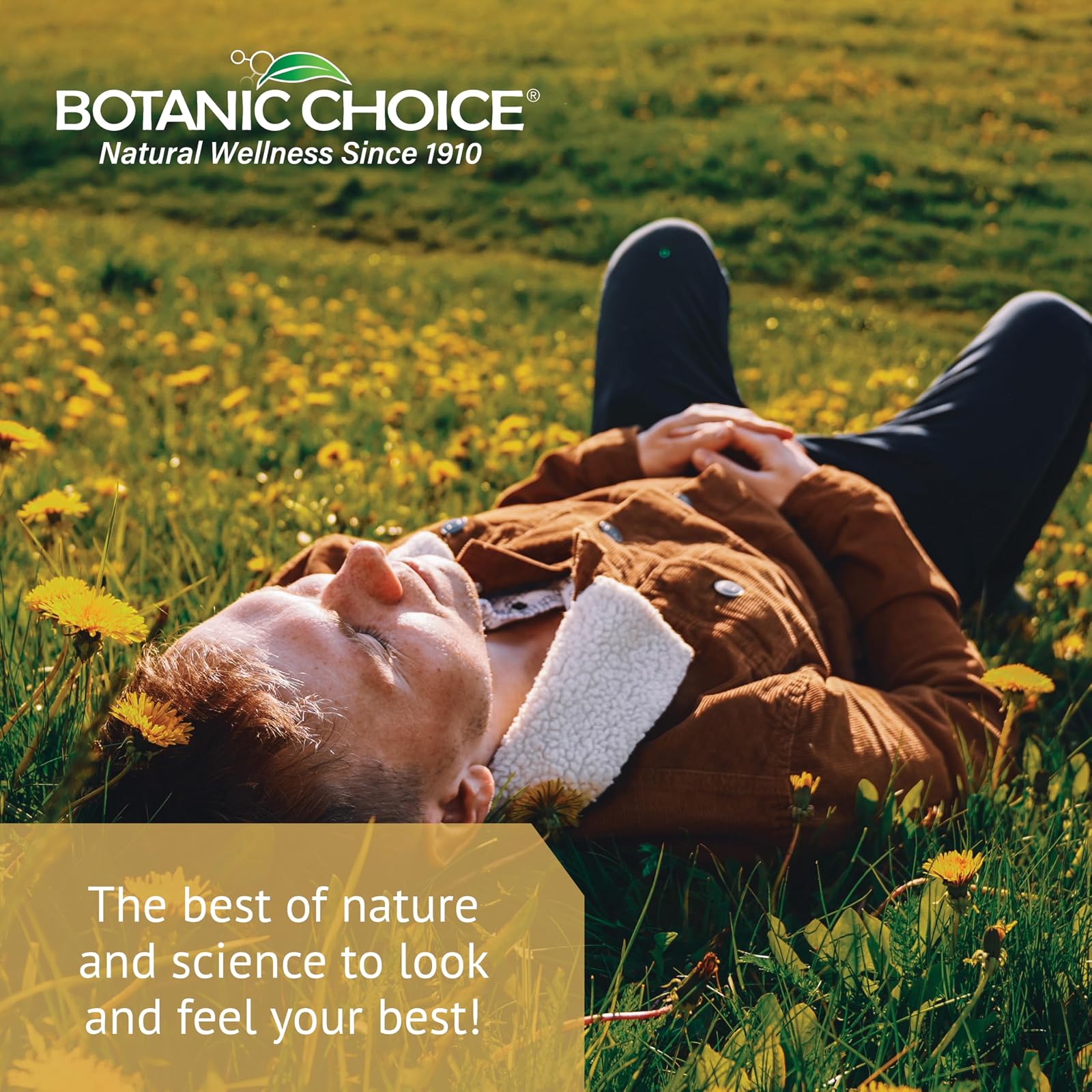 premium dandelion root liquid supplement