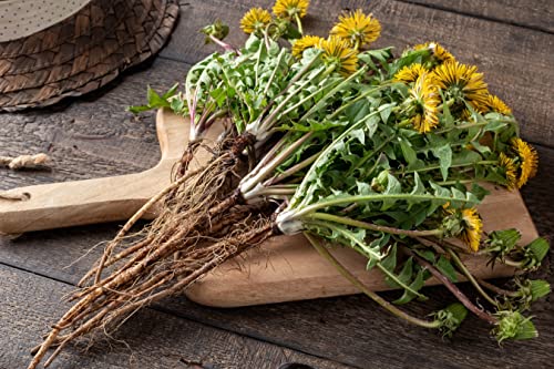 premium dandelion tea for detox