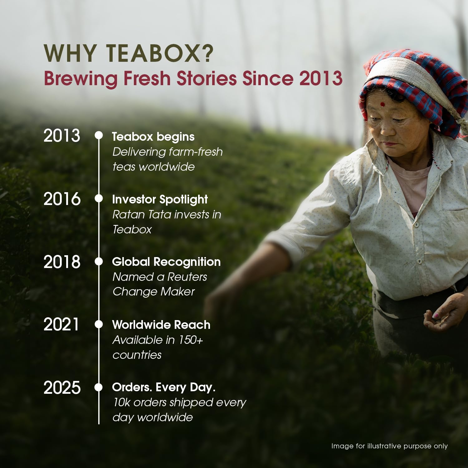 premium Darjeeling green tea bags