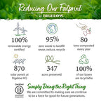 premium decaffeinated green tea experience