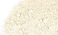 premium dong quai root powder