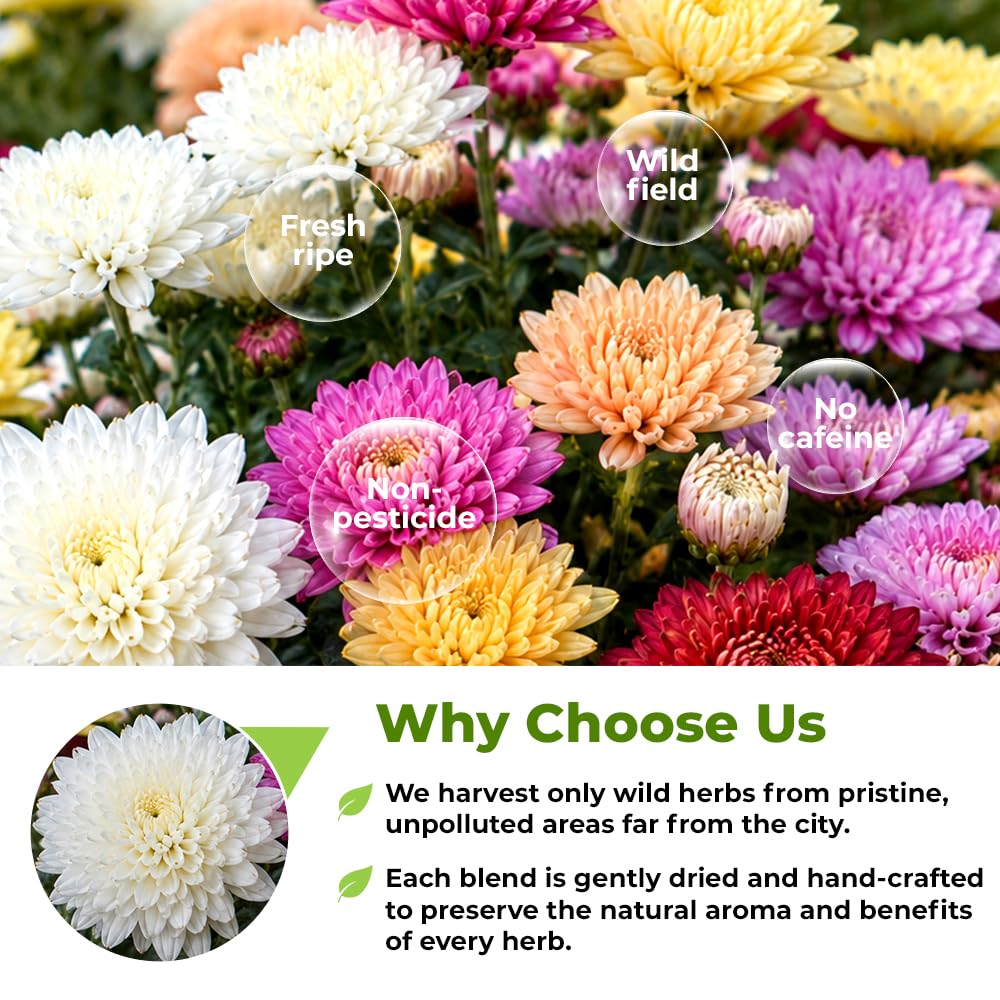 premium dried chrysanthemum tea petals