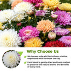 premium dried chrysanthemum tea petals