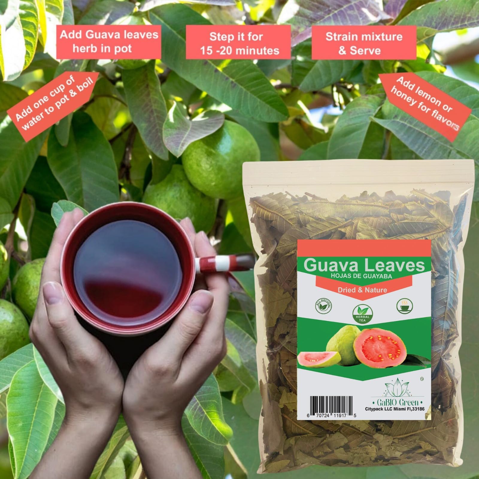 premium dried guava tea leaves