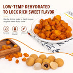 premium dried longan fruit
