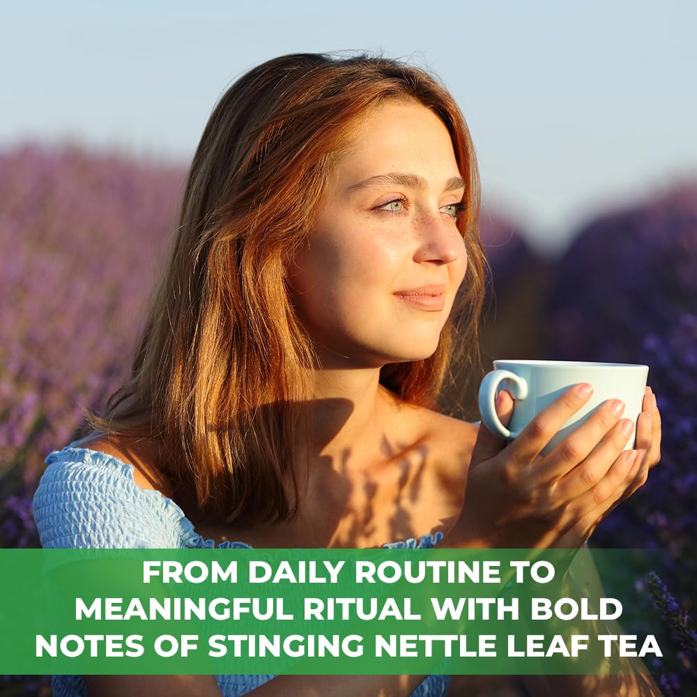 premium dried nettle for brewing