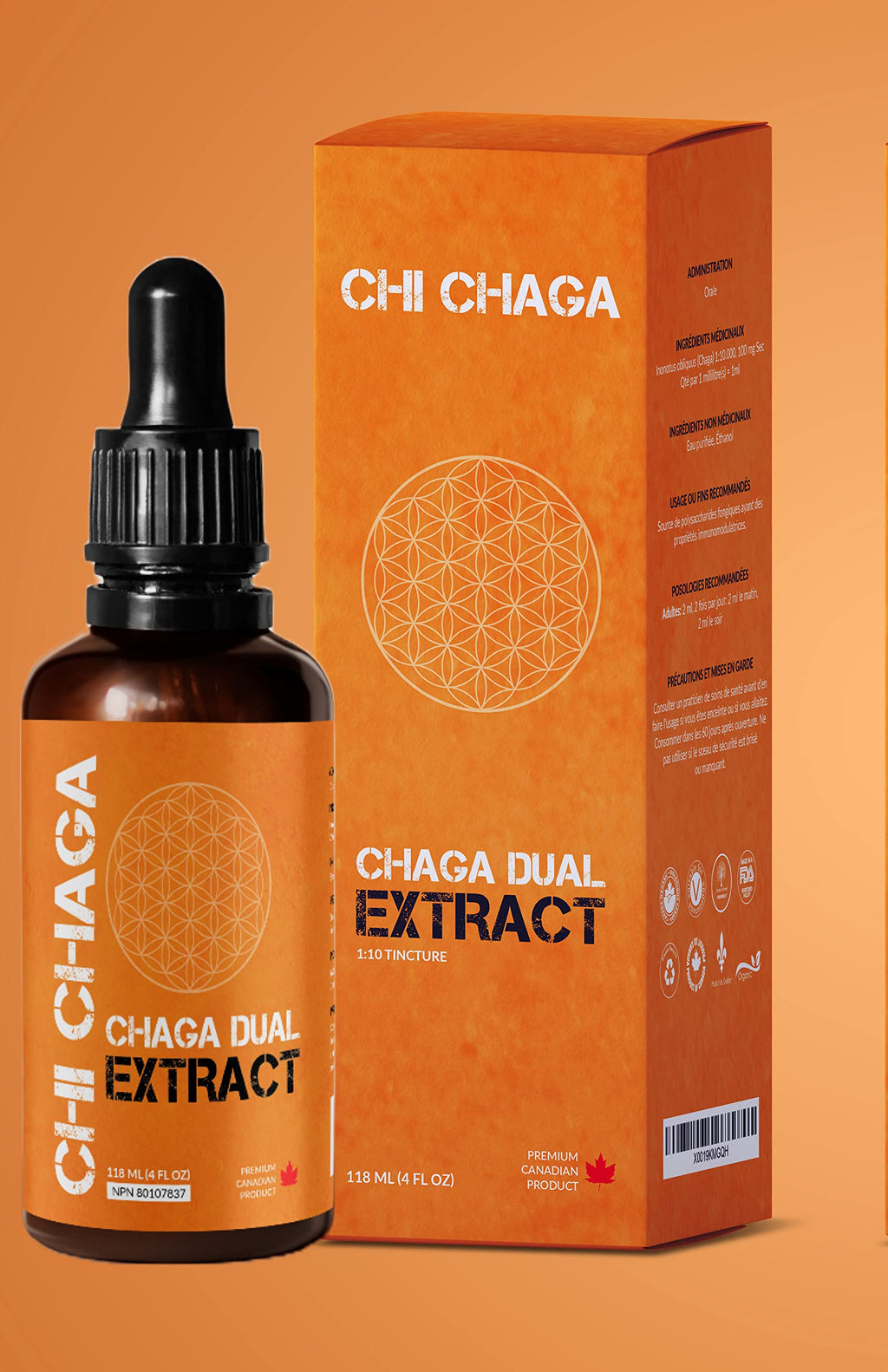 Premium dual extract mushroom supplement