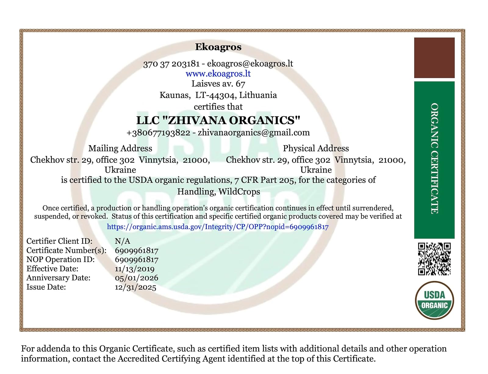 premium echinacea for herbal blends