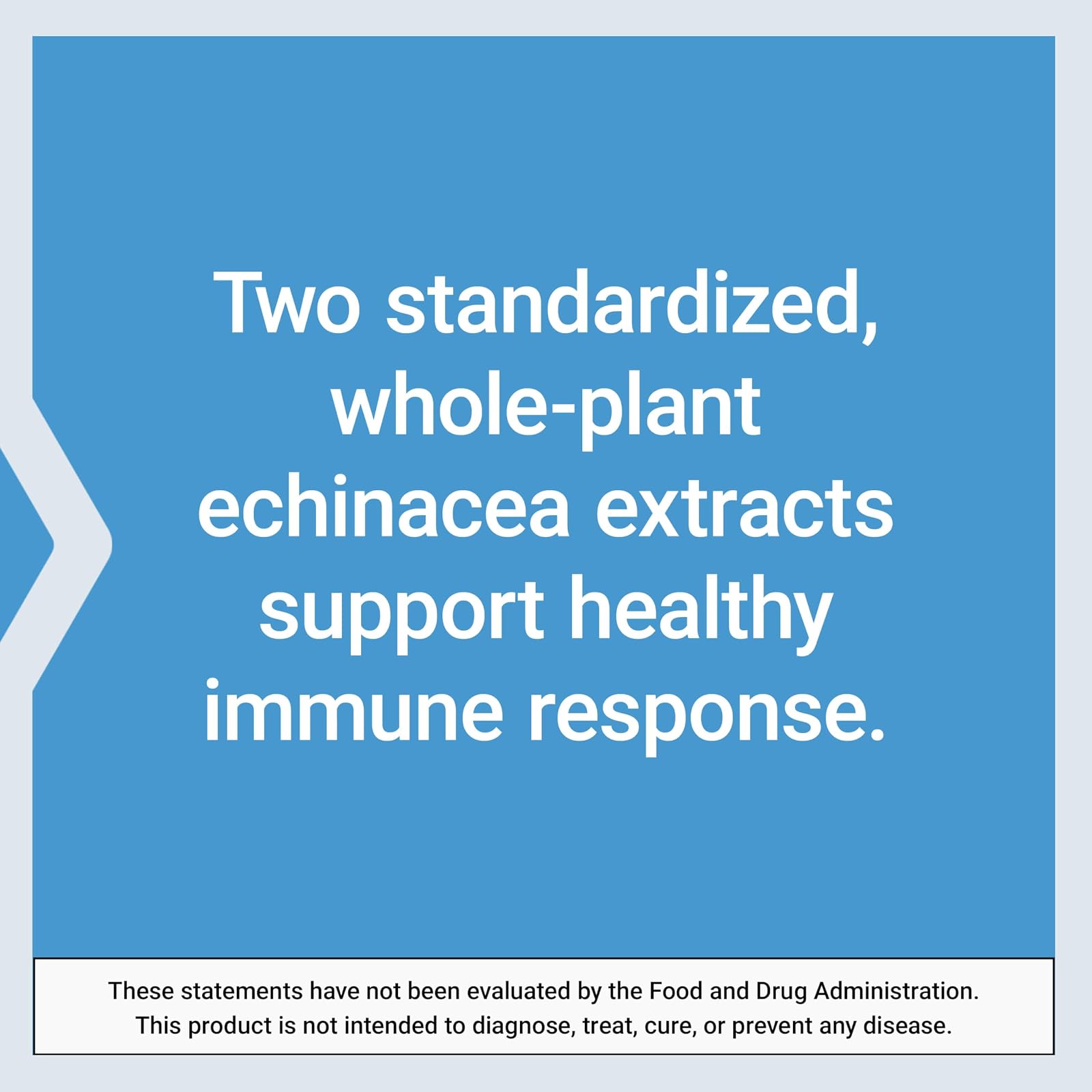 premium echinacea for wellness