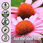 premium echinacea tincture for health