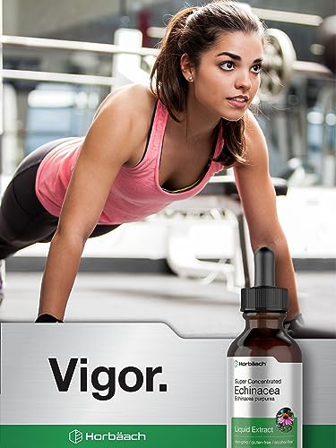premium echinacea tincture for vitality