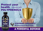 premium elderberry concentrate for vitality