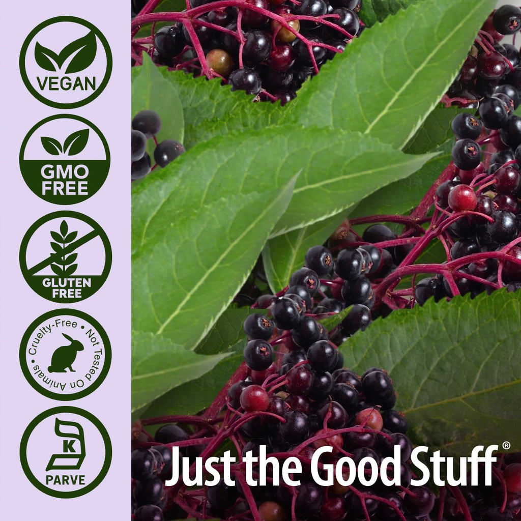 premium elderberry extract 3 pack