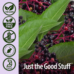 premium elderberry extract 3 pack