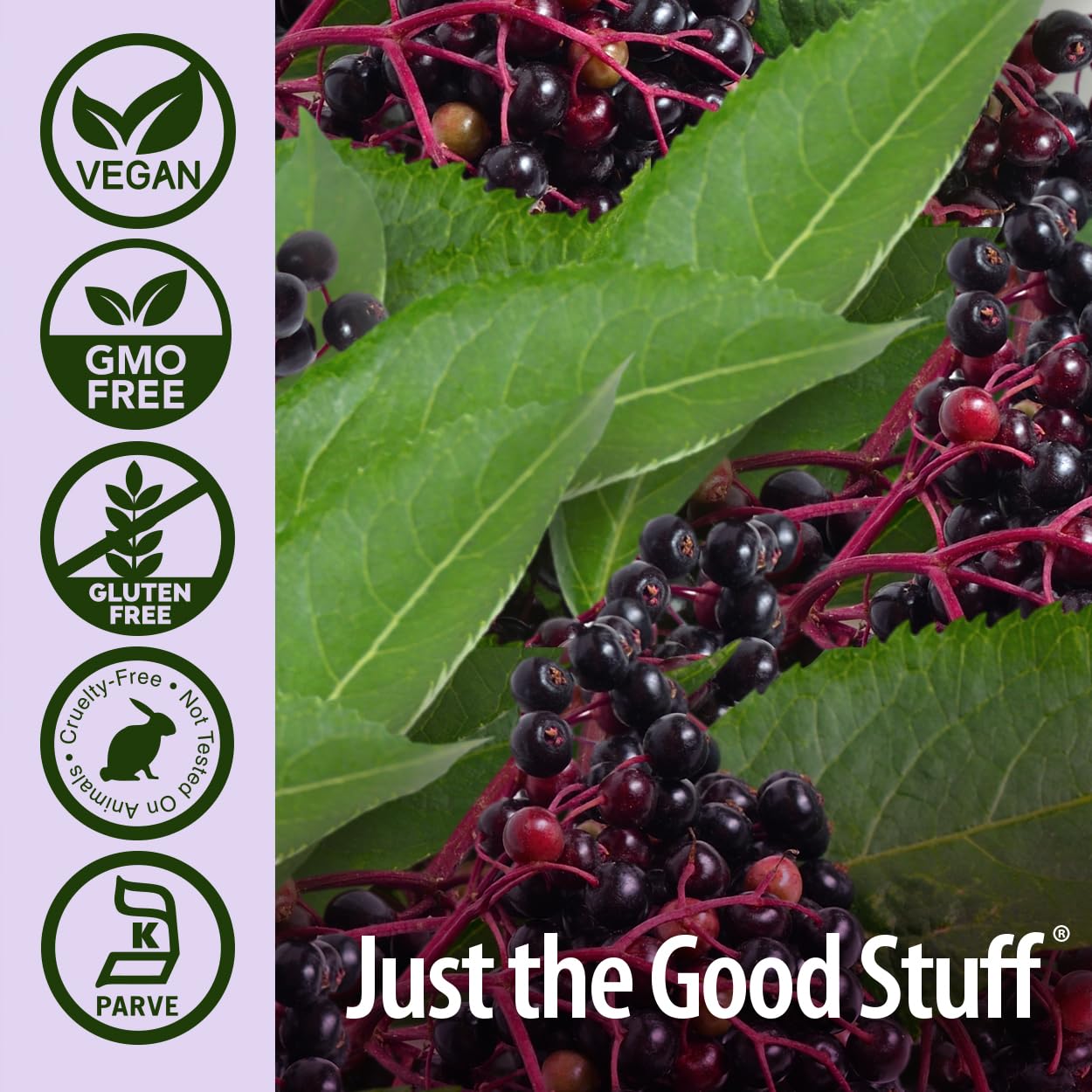 premium elderberry extract 3 pack