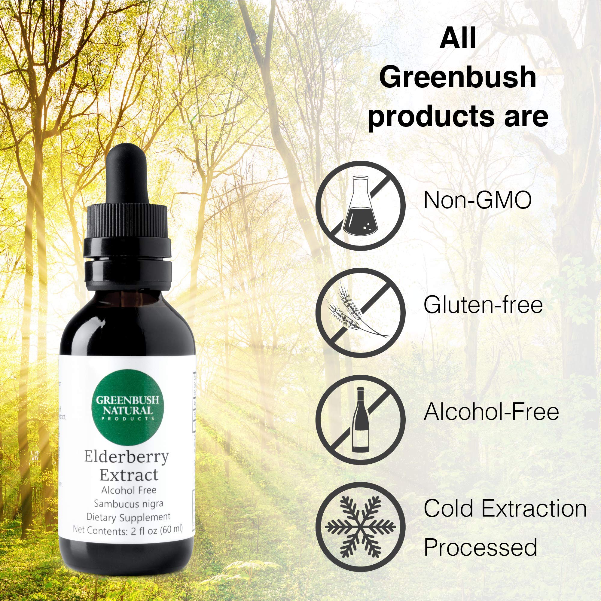 premium elderberry extract for vitality
